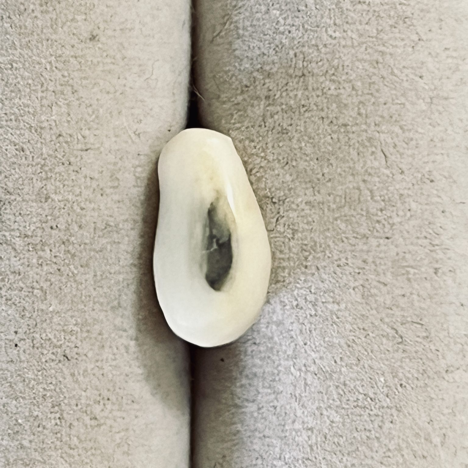 Rustic Jewelry From YOUR Elk Ivories or Ours. - Elk Ivory Jeweler