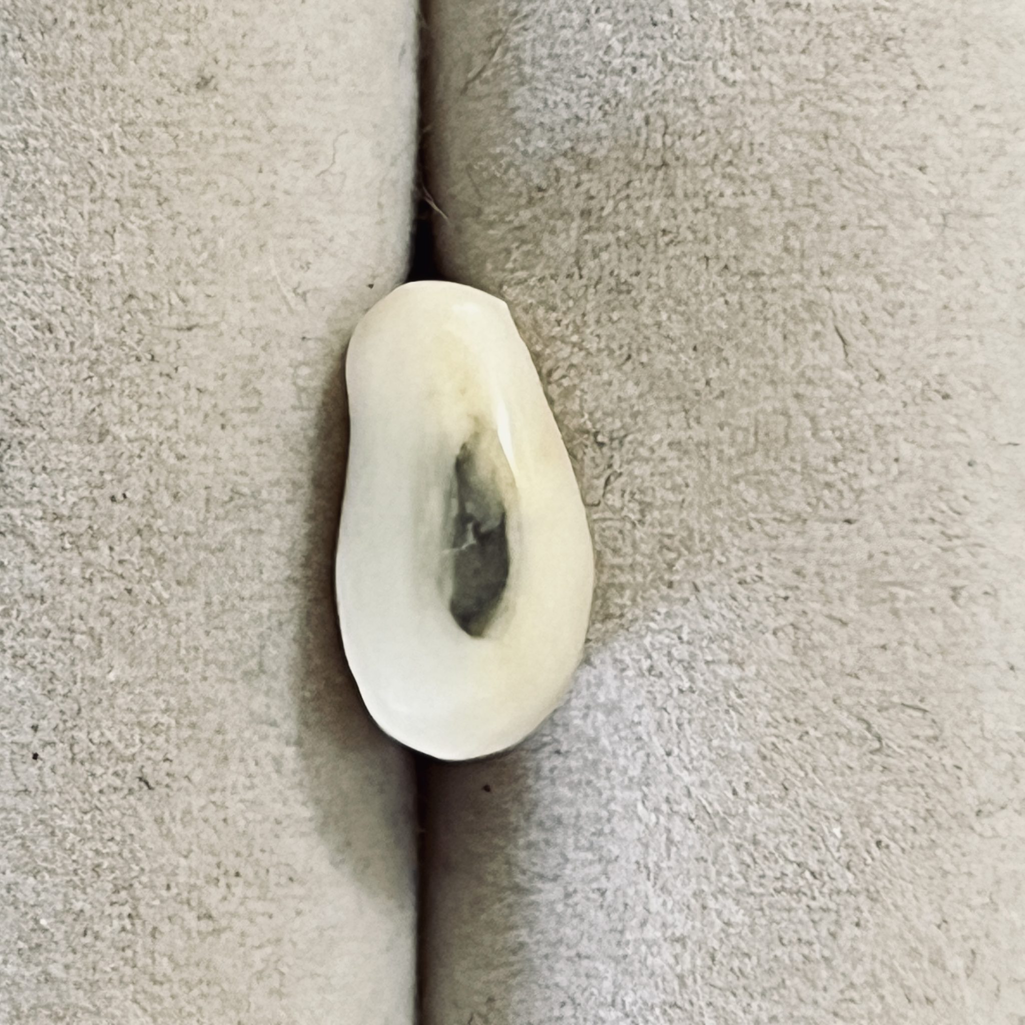 Rustic Jewelry From YOUR Elk Ivories or Ours. - Elk Ivory Jeweler