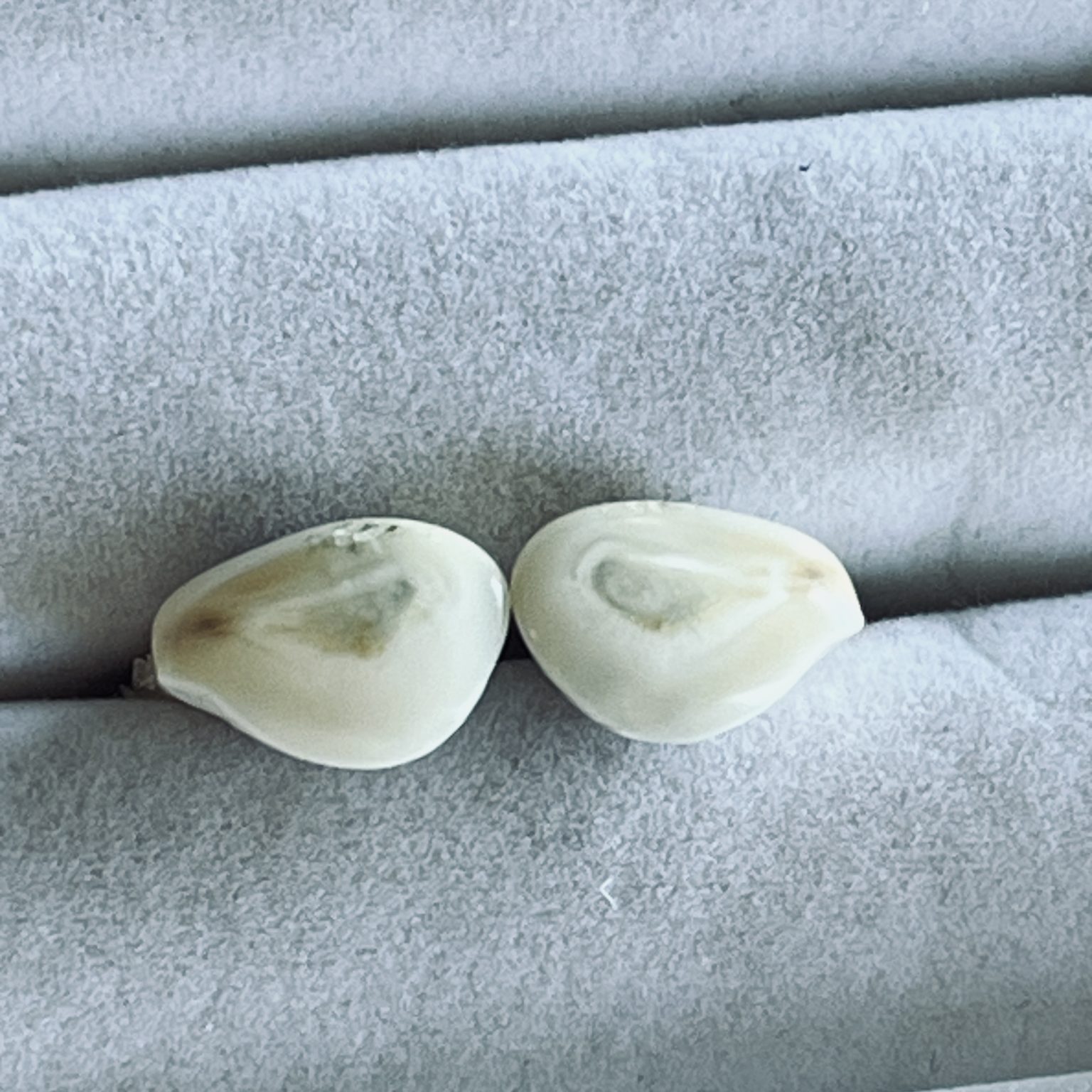 We create custom jewelry from our Elk Ivories or yours. ...... PLEASE ...